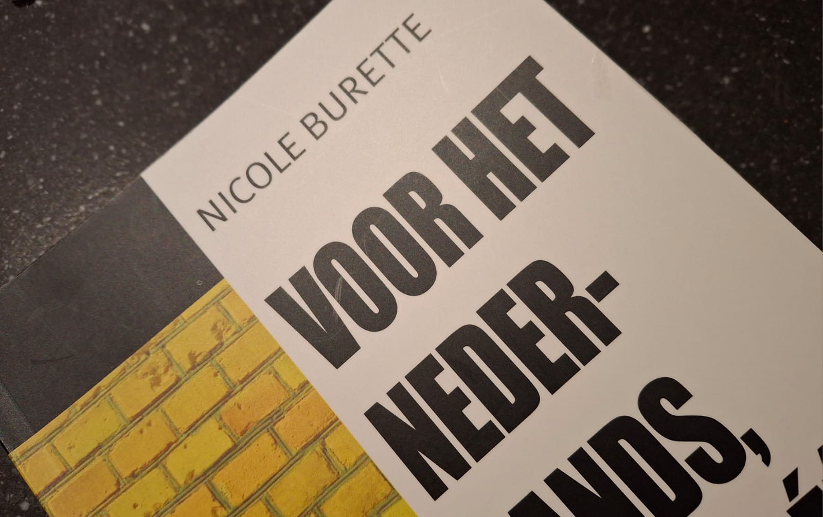 Lectuur: “Voor het Nederlands, druk één” – Artikels – B Plus